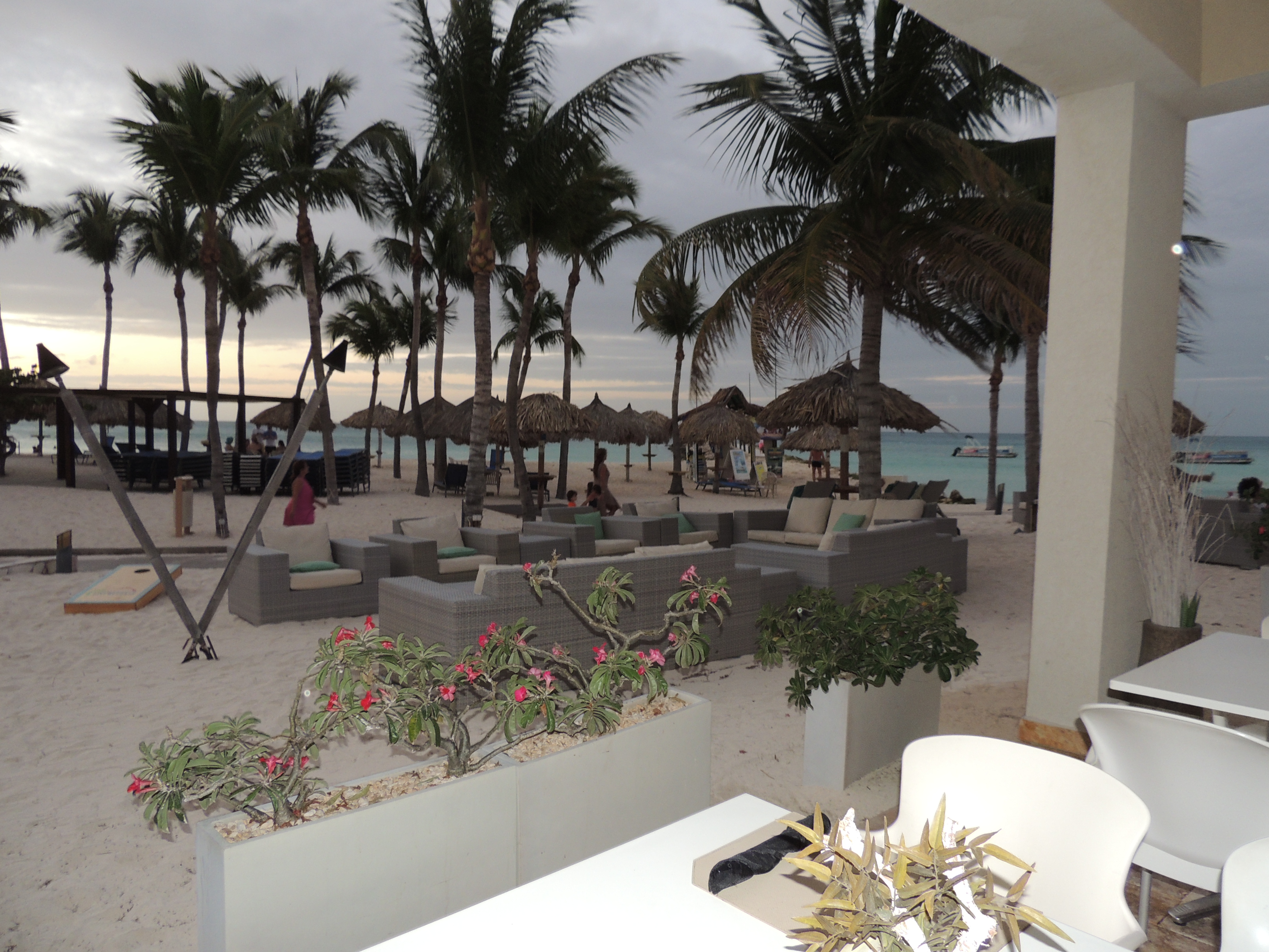New Menu Pure Beach (2)